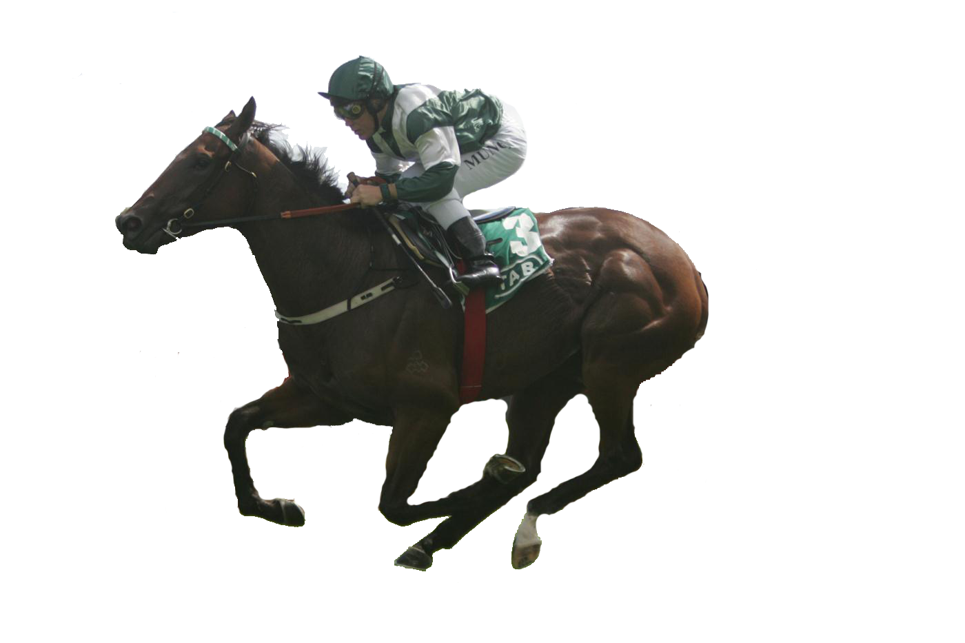 Virtual Horse Racing Online | Digital Horse Racing Stables